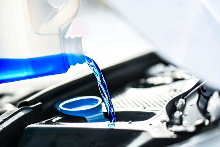 Antifreeze Poisoning in Animals | Signs, Prevention, & Treatment
