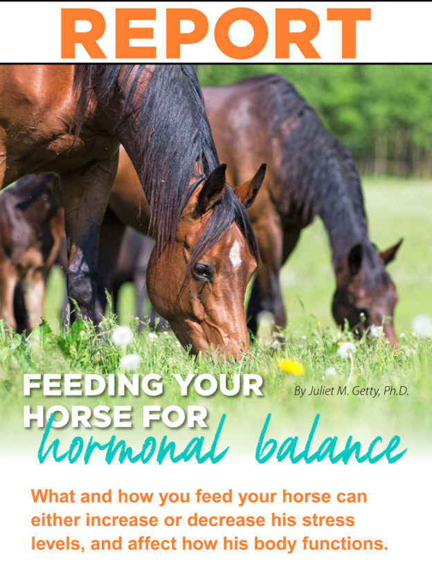 Feeding Your Horse for Hormonal Balance | Animal Wellness Academy